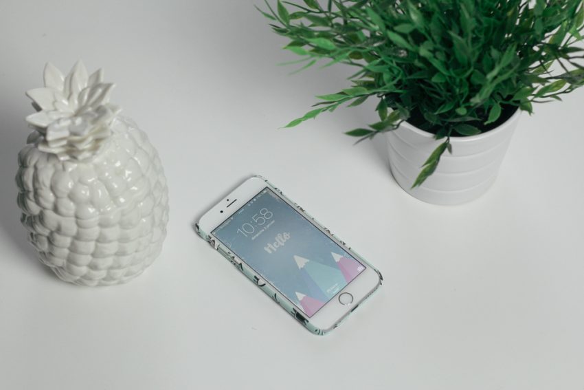 Le nouveau calendrier de Janvier 2016 et ses fonds d'écran - Minou le chat